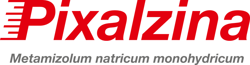 Leki przeciwbólowe Pixalzina 500 Mg 20 tabl. - Opinie i ceny na Ceneo.pl