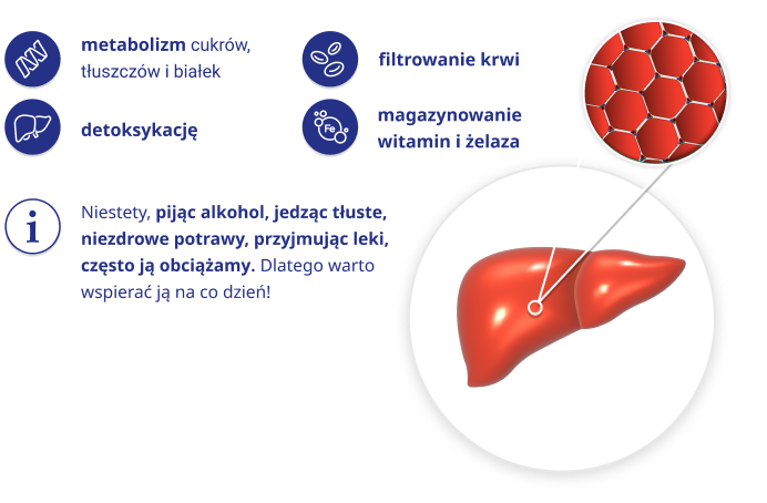 Hepatil 80tabl. - Opinie i ceny na Ceneo.pl