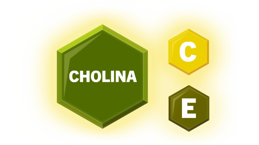 Essentia Proactive 30kaps. - Opinie i ceny na Ceneo.pl