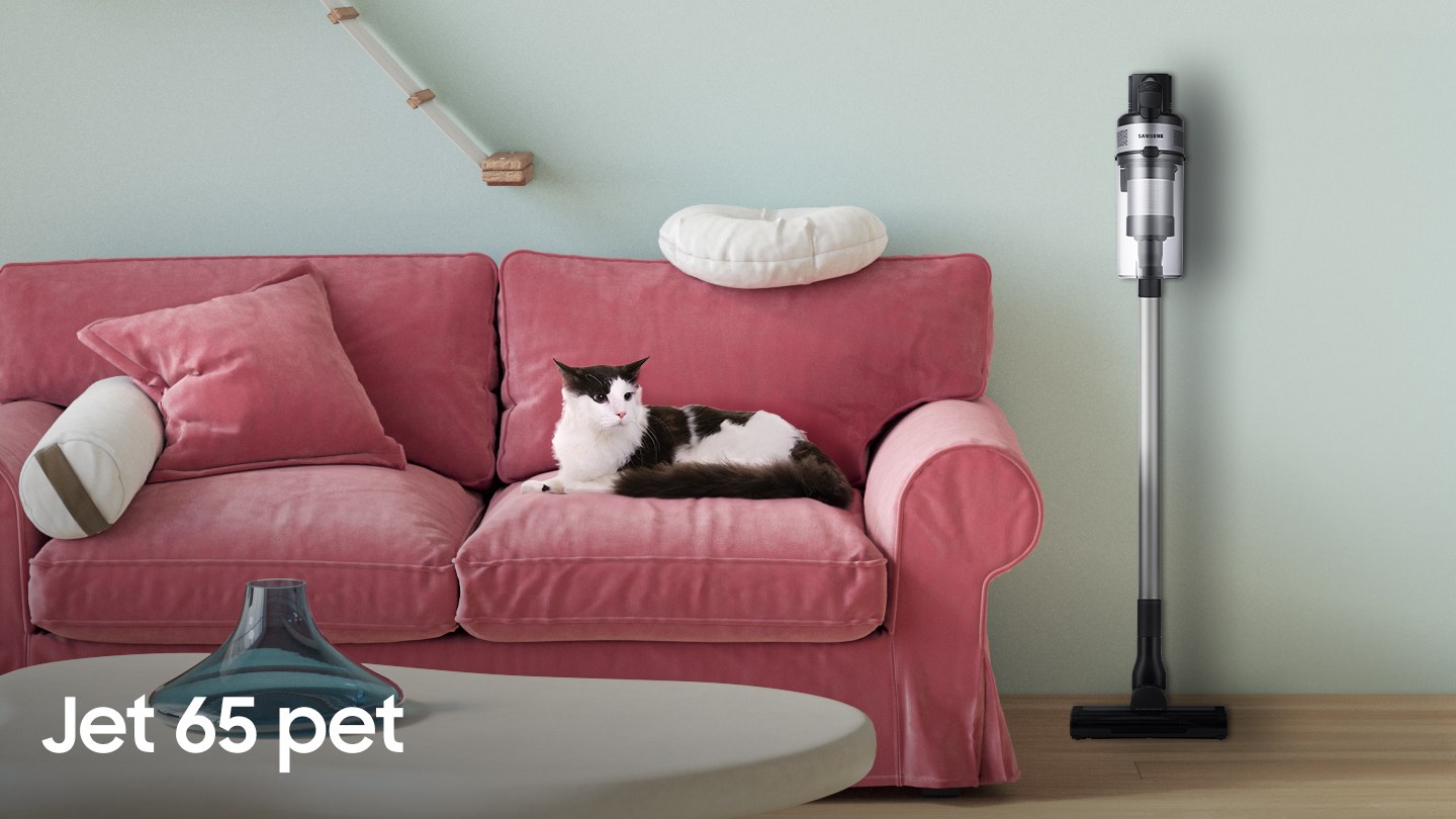 Samsung Jet 65 Pet VS15A60AGR5/GE - Opinie i ceny na Ceneo.pl