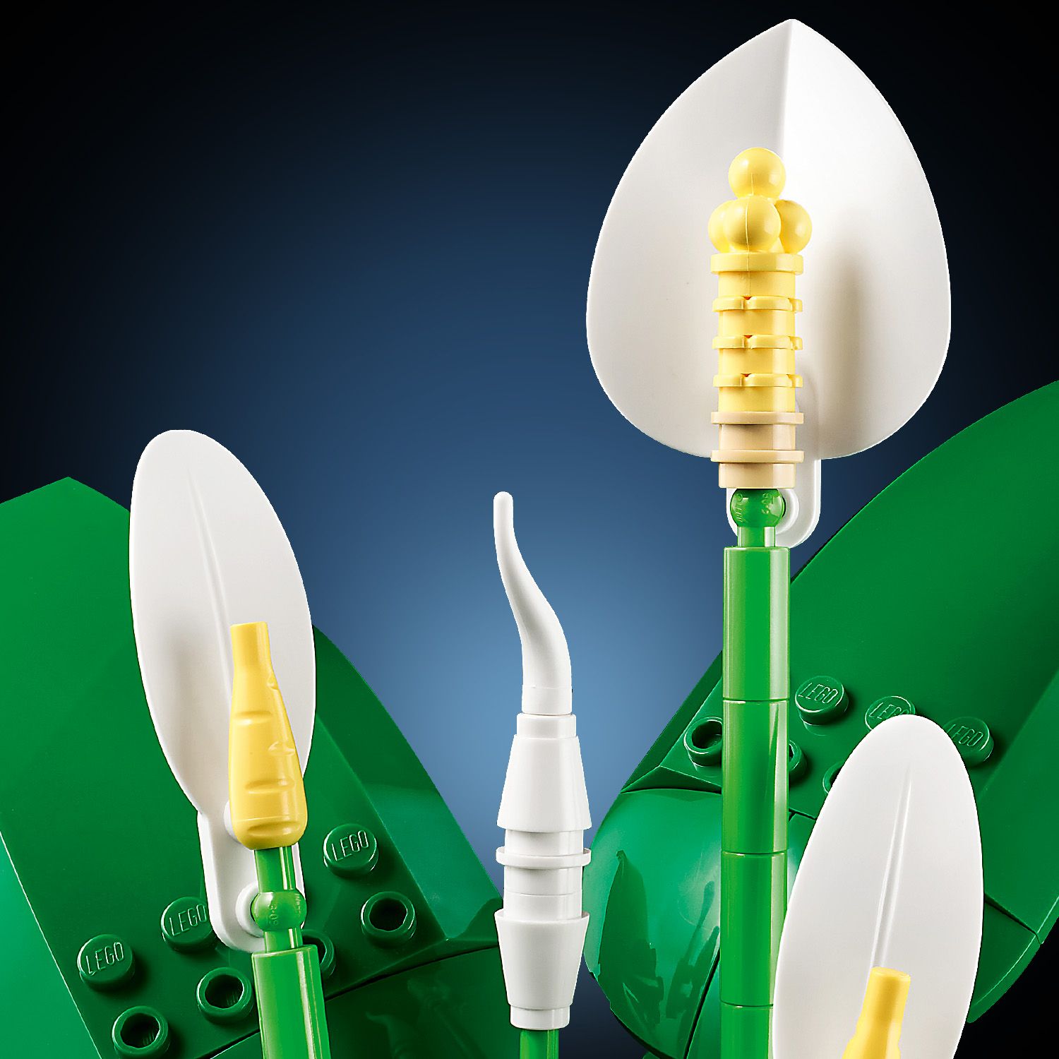 LEGO Botanicals 11504 Skrzydłokwiat - Ceny i opinie - Ceneo.pl