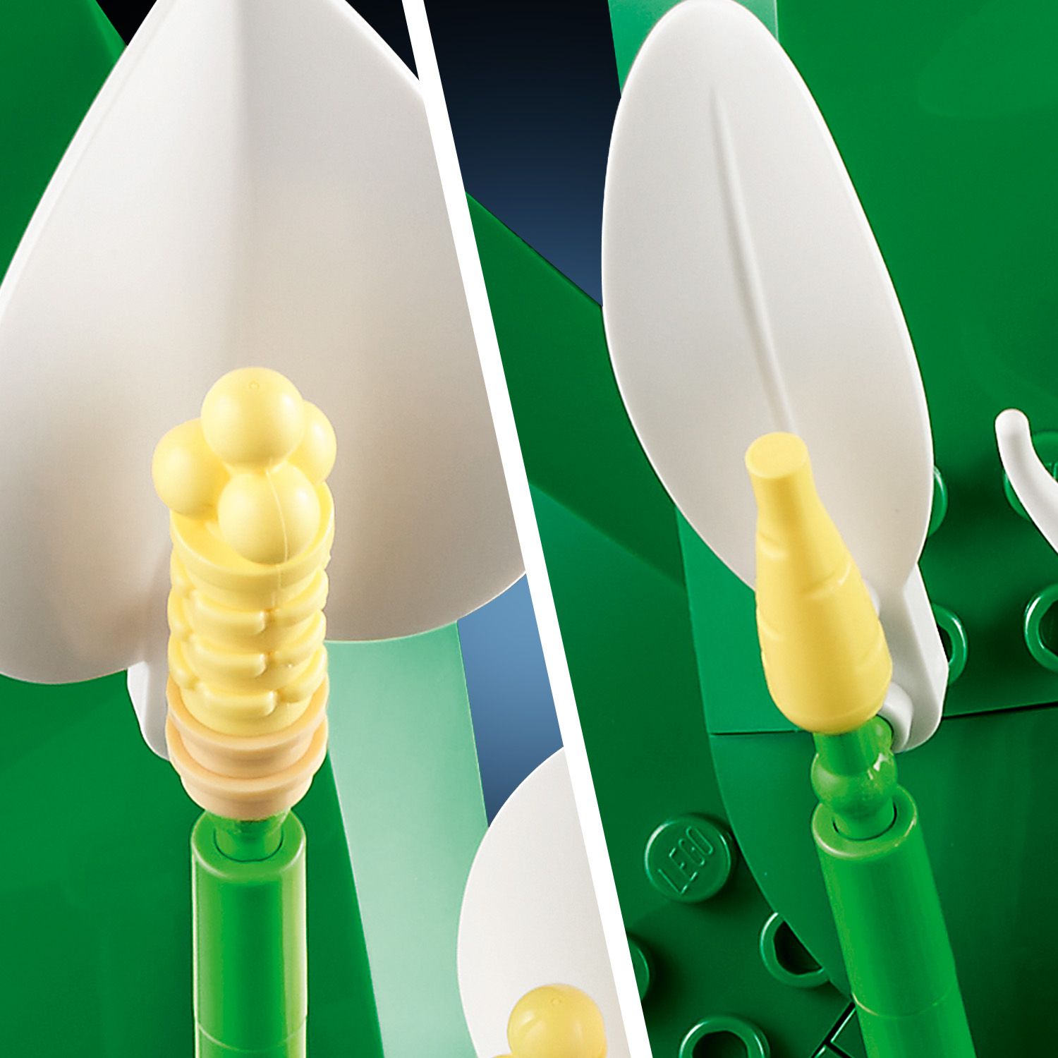 LEGO Botanicals 11504 Skrzydłokwiat - Ceny i opinie - Ceneo.pl
