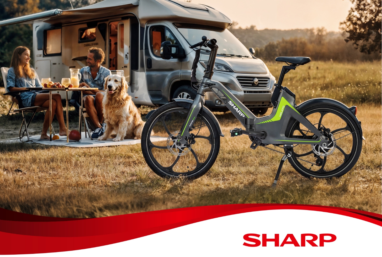 Sharp BK-BM07-EG - Ceny i opinie - Ceneo.pl