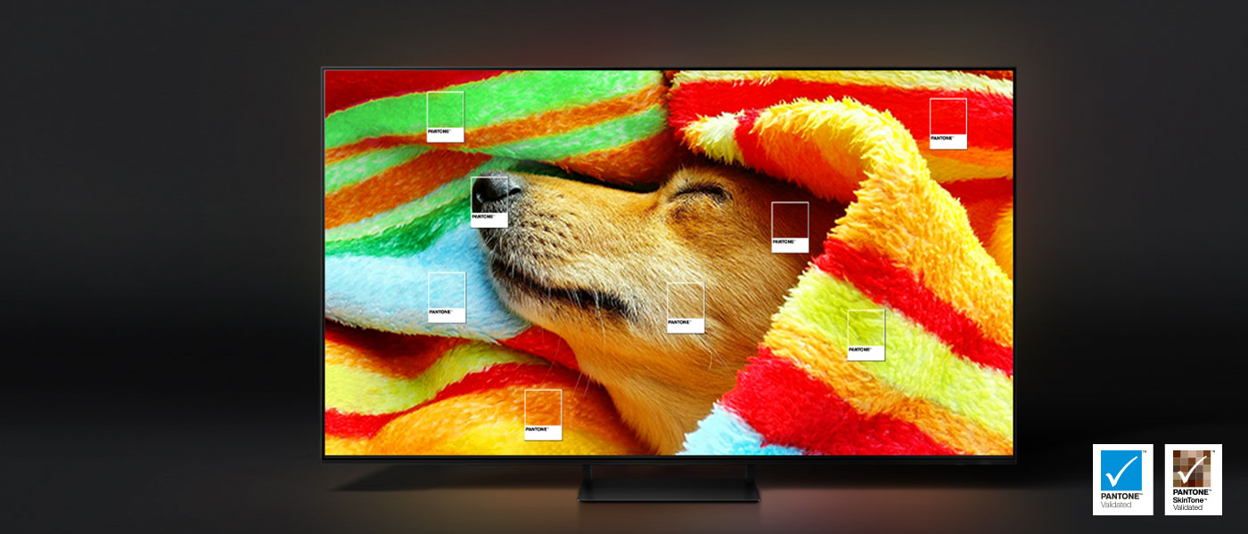 Telewizor OLED Samsung QE65S90C 65 cali 4K UHD 65 cali - Opinie i ceny ...